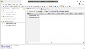Beginilah Cara Melakukan Remote Database dengan HeidiSQL
