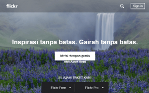 8+ Situs Download Gambar Photostock Gratis Kualitas Tinggi