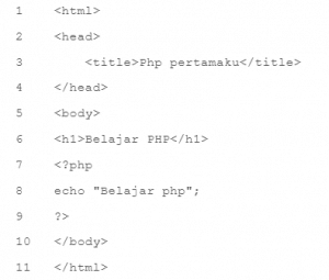Apa itu Coding? Ini Penjelasan Mudahnya untuk Pemula