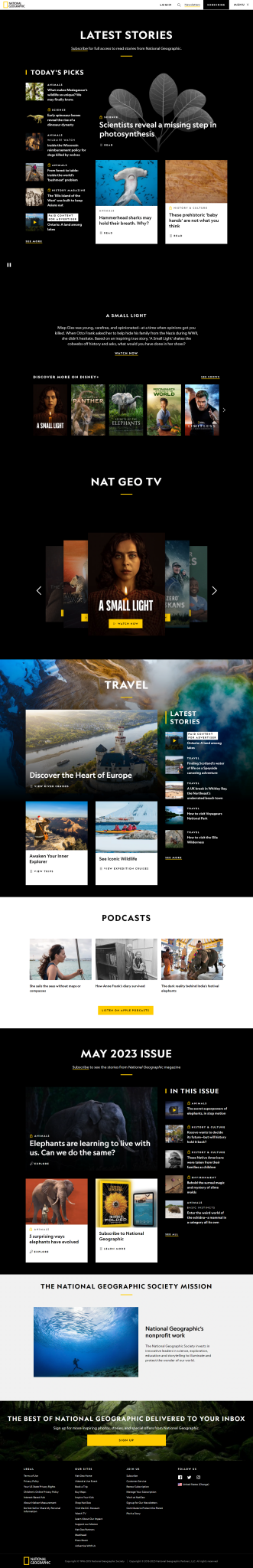 13+ Contoh Website Company Profile untuk Bisnis Profesional