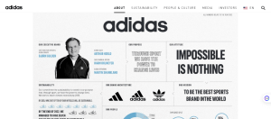 15+ Contoh Company Profile, Isi dan Cara Membuatnya