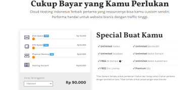 Biaya Harga Hosting & Domain Website di 2025 (Terupdate)