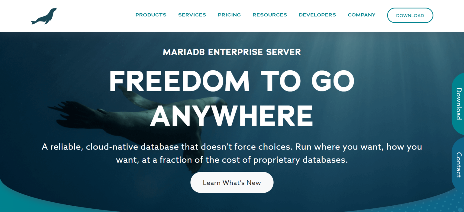 Perbedaan MariaDB vs MySQL: Mana yang Terbaik?