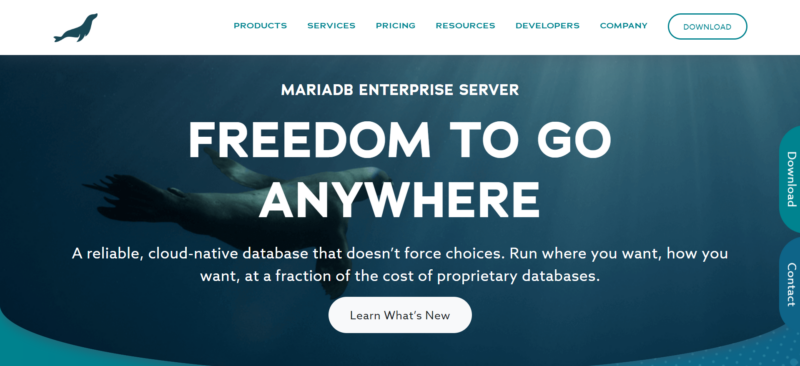 Perbedaan MariaDB vs MySQL: Mana yang Terbaik?