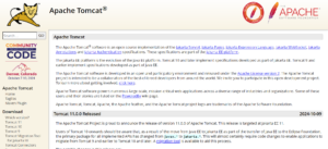 Mengenal Apache Tomcat Server, Fungsi dan Kelebihannya